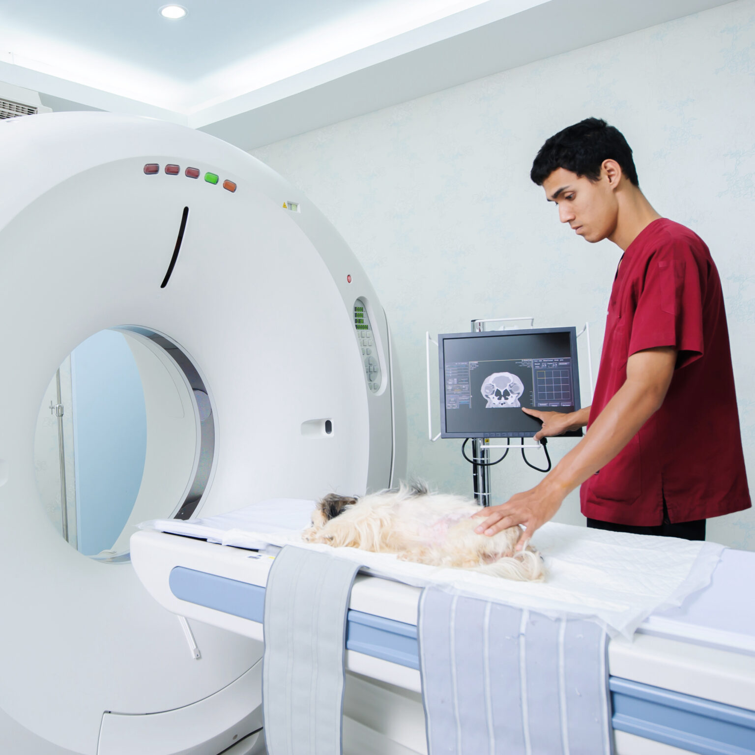 Homepage - Antech Imaging Academy