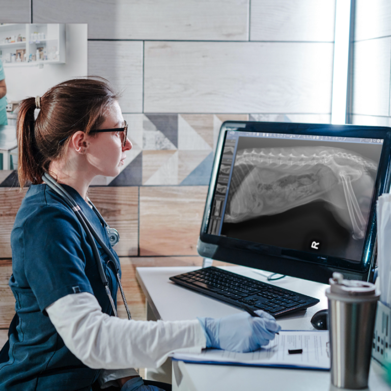 Homepage - Antech Imaging Academy